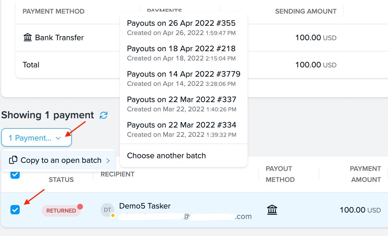 Resend a Returned Payment